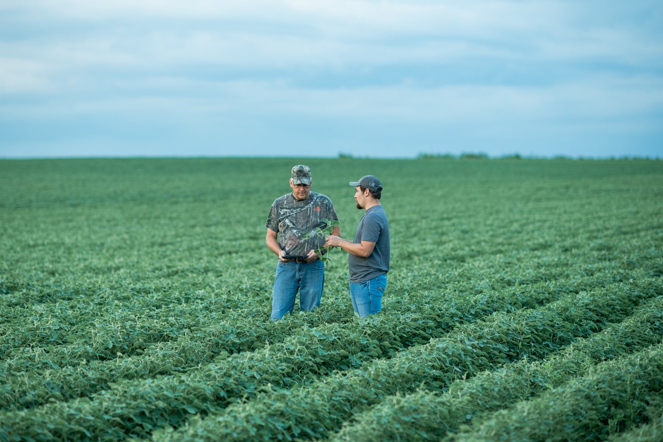 How to Collect Data for Farm Analytics