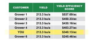 Yield Efficiency as a New Measurement of Profitability
