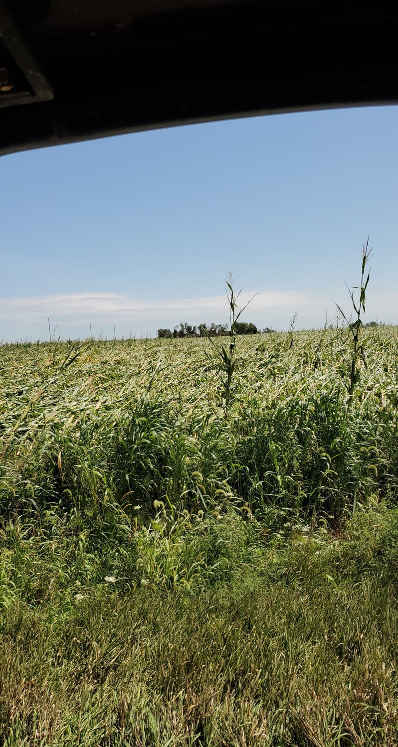 010: Why Creating a Farm Plan Matters - Premier Crop Systems